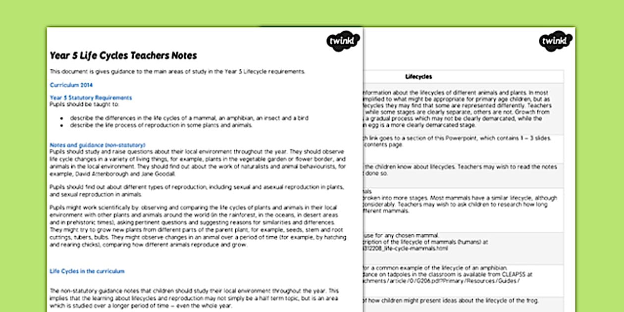 Science KS2 Year 5 Lifecycles Teachers Notes (teacher made)