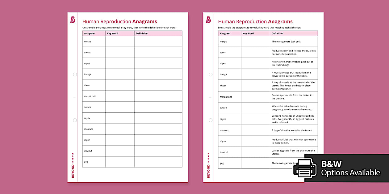 Human Reproduction Key Word Anagrams Worksheet - Twinkl