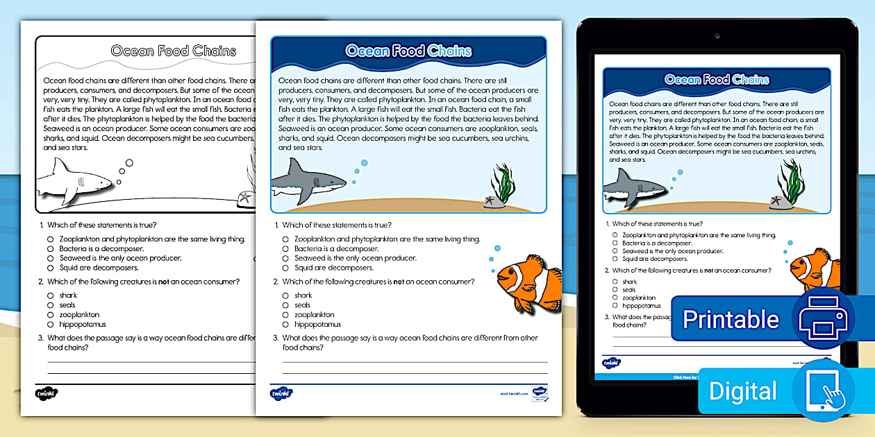 Ocean Food Chain Activity | World Ocean Day | Twinkl USA