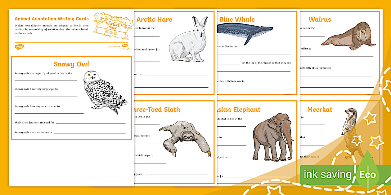 Animal Adaptations Writing Cards (Teacher-Made) - Twinkl