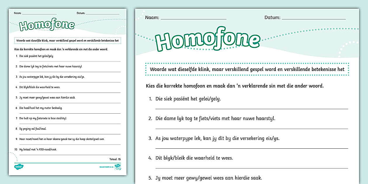 Homofone Aktiwiteit (Teacher-Made) - Twinkl