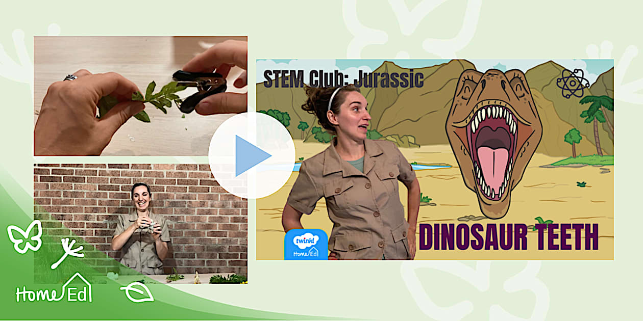 Investigating Dinosaur Teeth (teacher made) - Twinkl