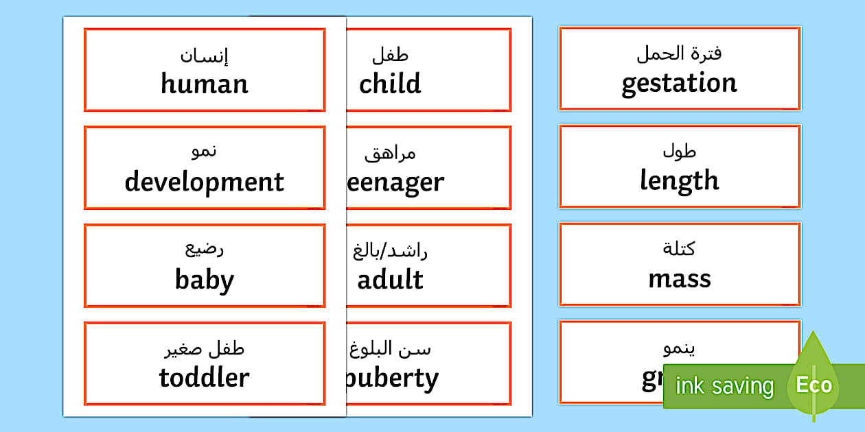 Animals Including Humans Scientific Vocabulary Cards Arabic/English