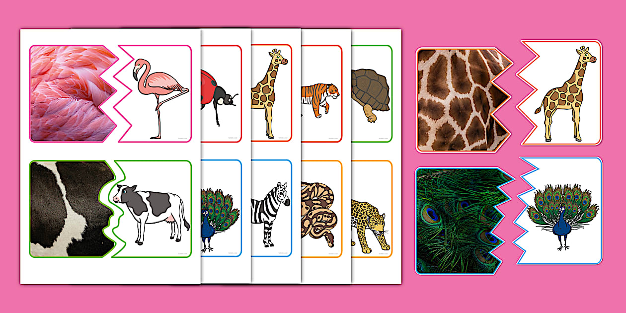 Animal Patterns Simple Jigsaw Matching Game (Teacher-Made)