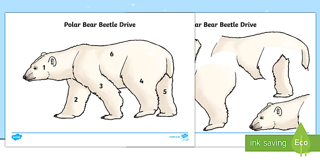 Polar Bear Beetle Drive Game (teacher made) - Twinkl