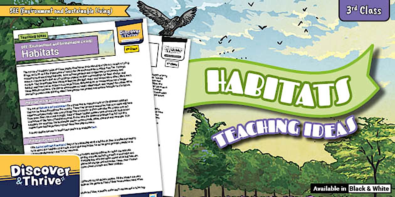 SEE Habitats Teaching Ideas 4th Class