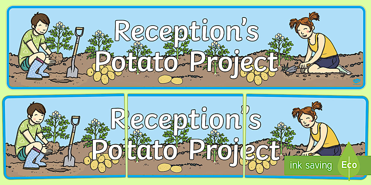 Editable Reception's Potato Project Display Banner - Twinkl