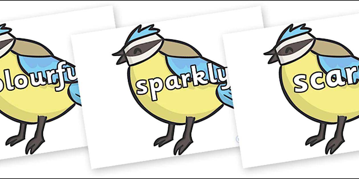 Cursive Wow Words on Birds (teacher made) - Twinkl