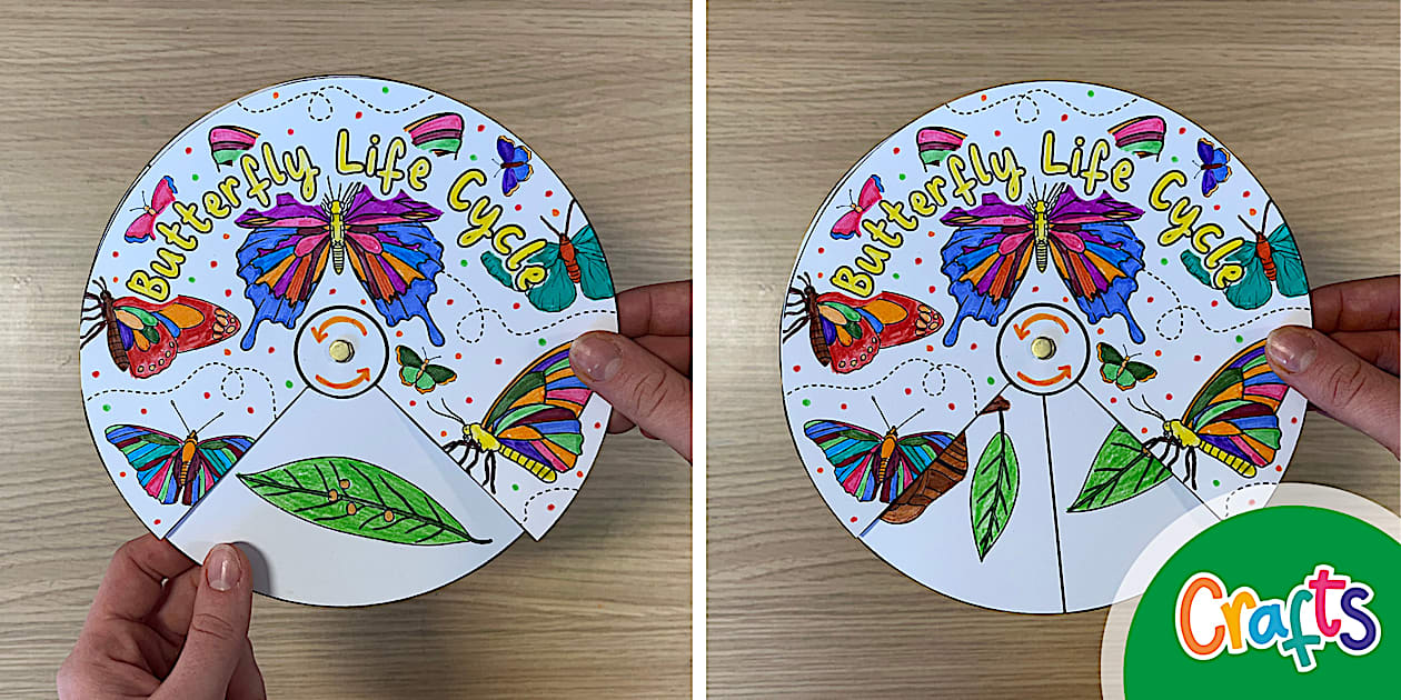 Butterfly Life Cycle Spinner Craft (teacher made) - Twinkl