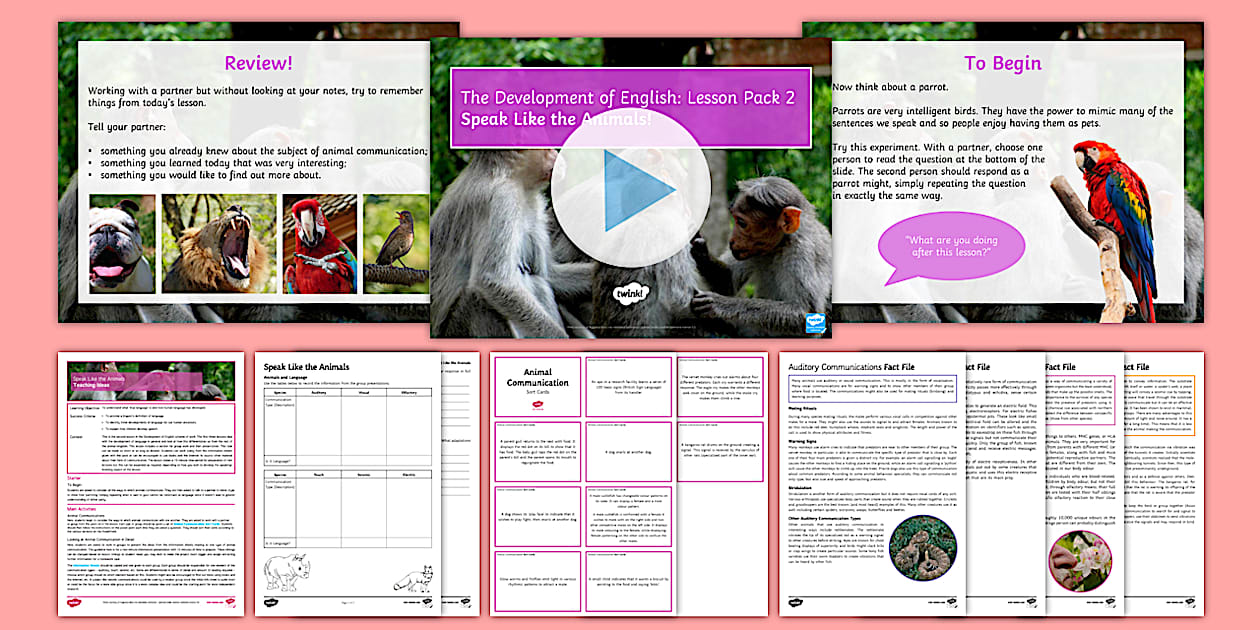 History of English Lesson 2: Animal Communications - Twinkl