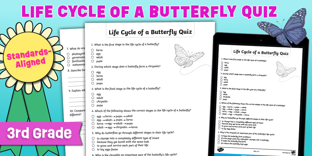 Third Grade Life Cycle of a Butterfly Quiz (Teacher-Made)