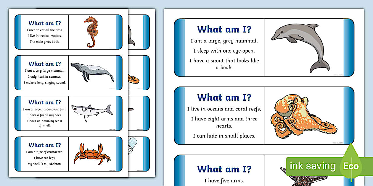 What am I? Sea Creature Themed Guessing Game - KS1 - Twinkl