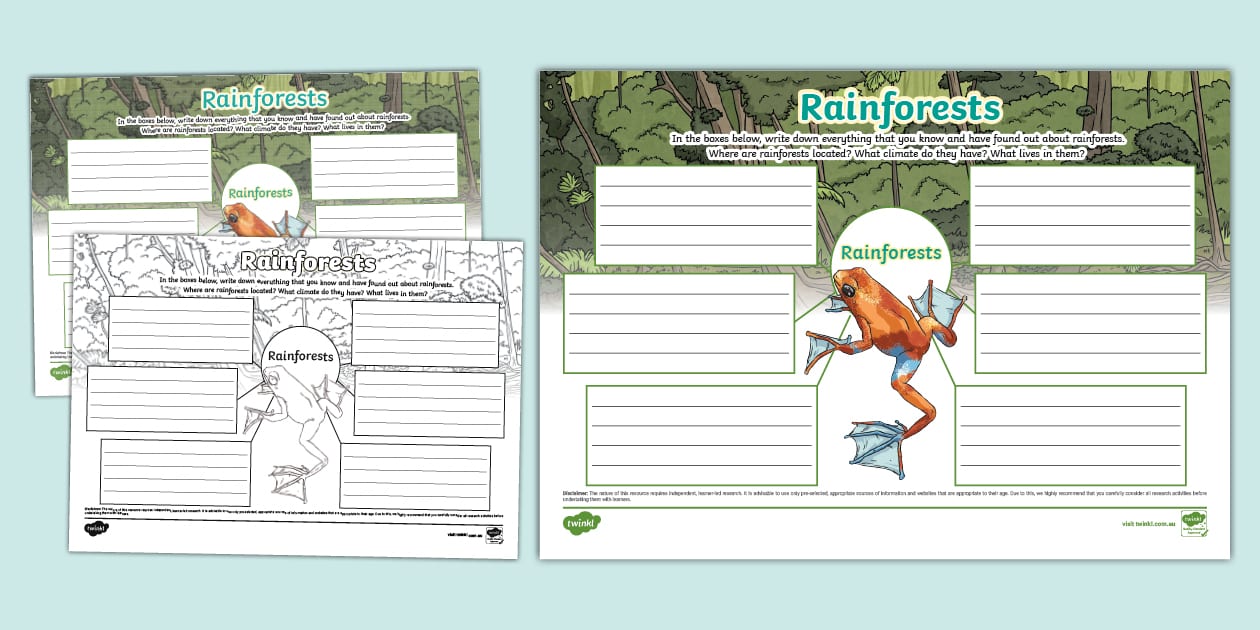 Rainforests Mind Map (Teacher-Made) - Twinkl
