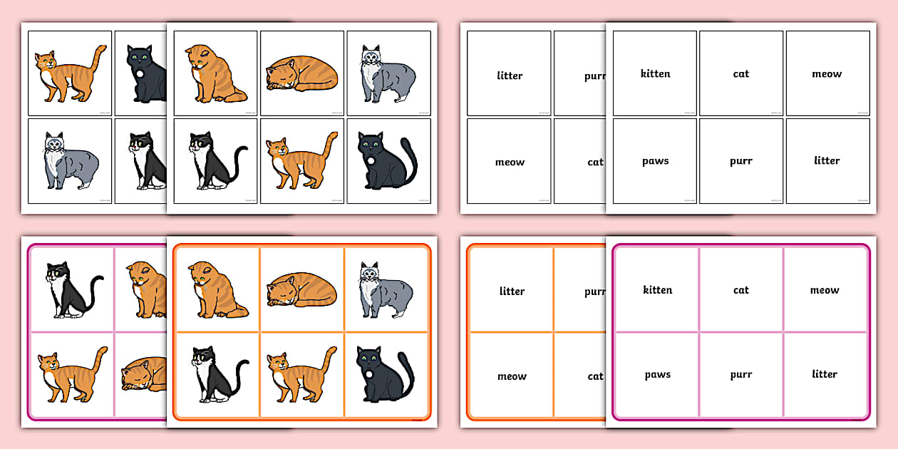 Cat Bingo Pack (teacher made) - Twinkl