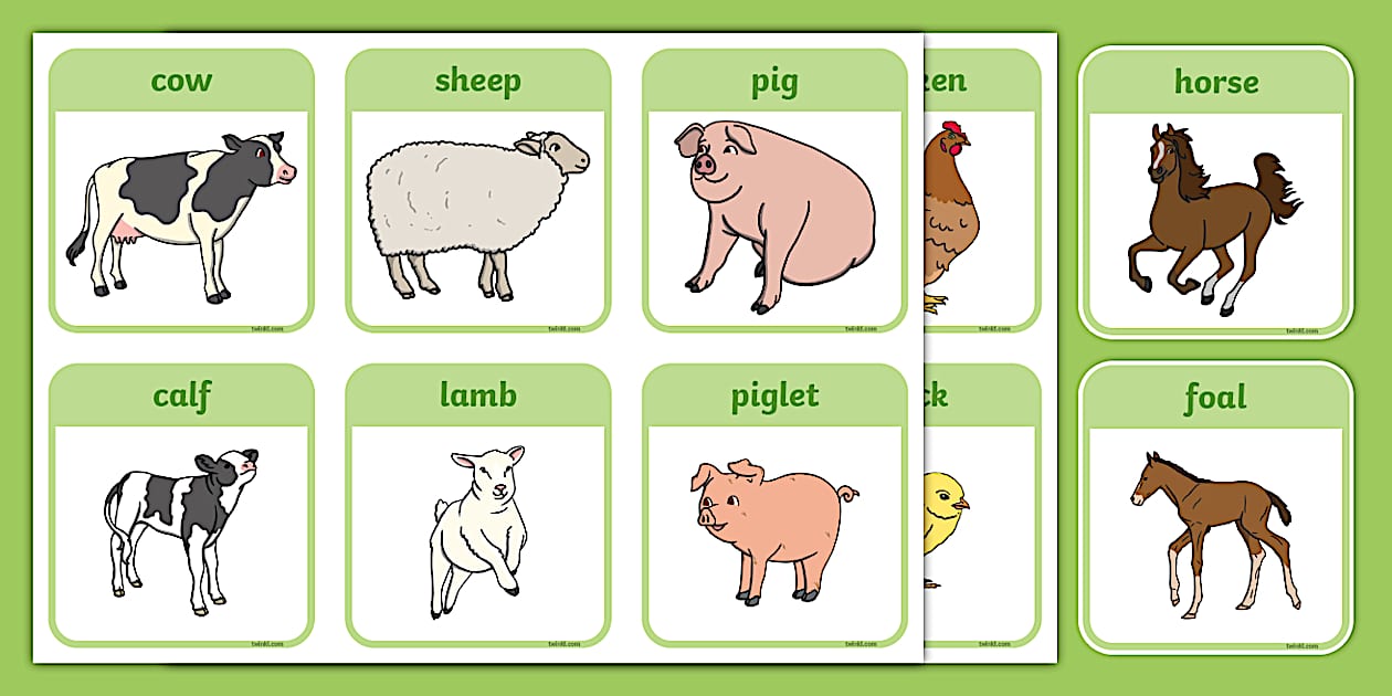 Editable Mothers and their Young Farm Animals Cards - Twinkl