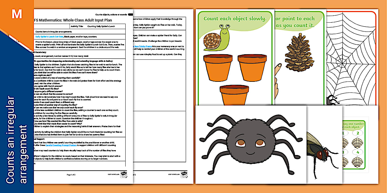 EYFS Maths: Counting Sally Spider's Lunch Adult Input Plan