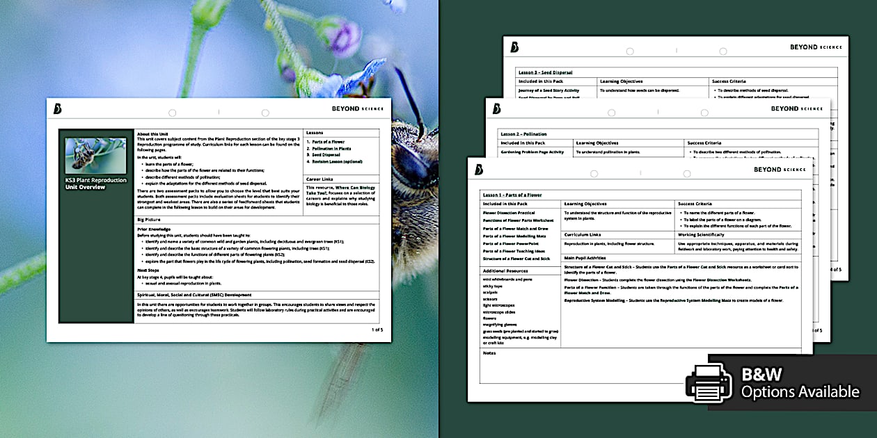 KS3 Plant Reproduction Unit Overview | Science | Beyond