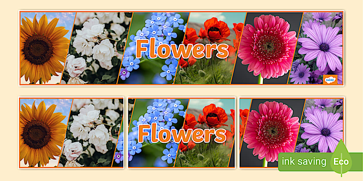 Flowers Photo Display Banner (teacher made) - Twinkl