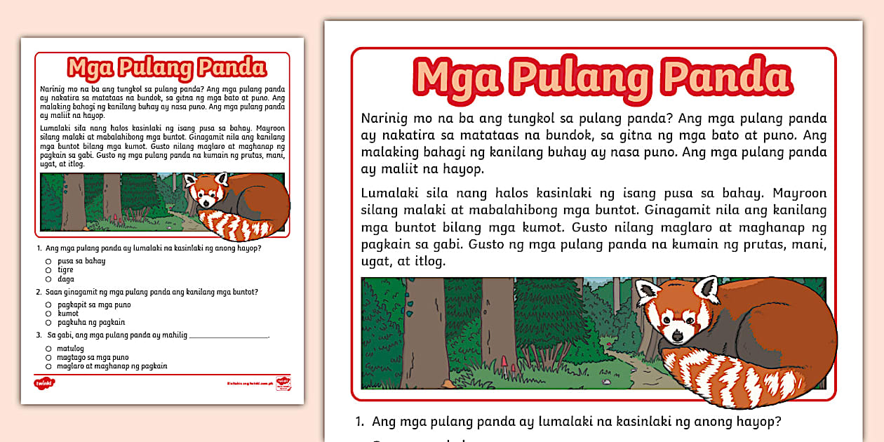 Mga Pulang Panda | Grade 1 | Twinkl PH (teacher made)