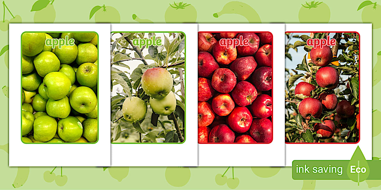 Apple Photo Pack (teacher made) - Twinkl