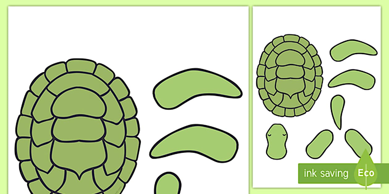 Turtle Split Pin Activity - Twinkl