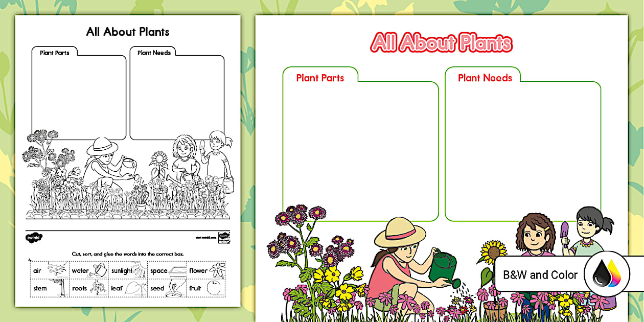 All About Plants Cut and Paste Sorting Worksheet for PK-K