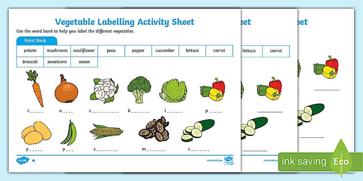 Vegetable Labelling Activity Sheet - Twinkl - Science - KS1
