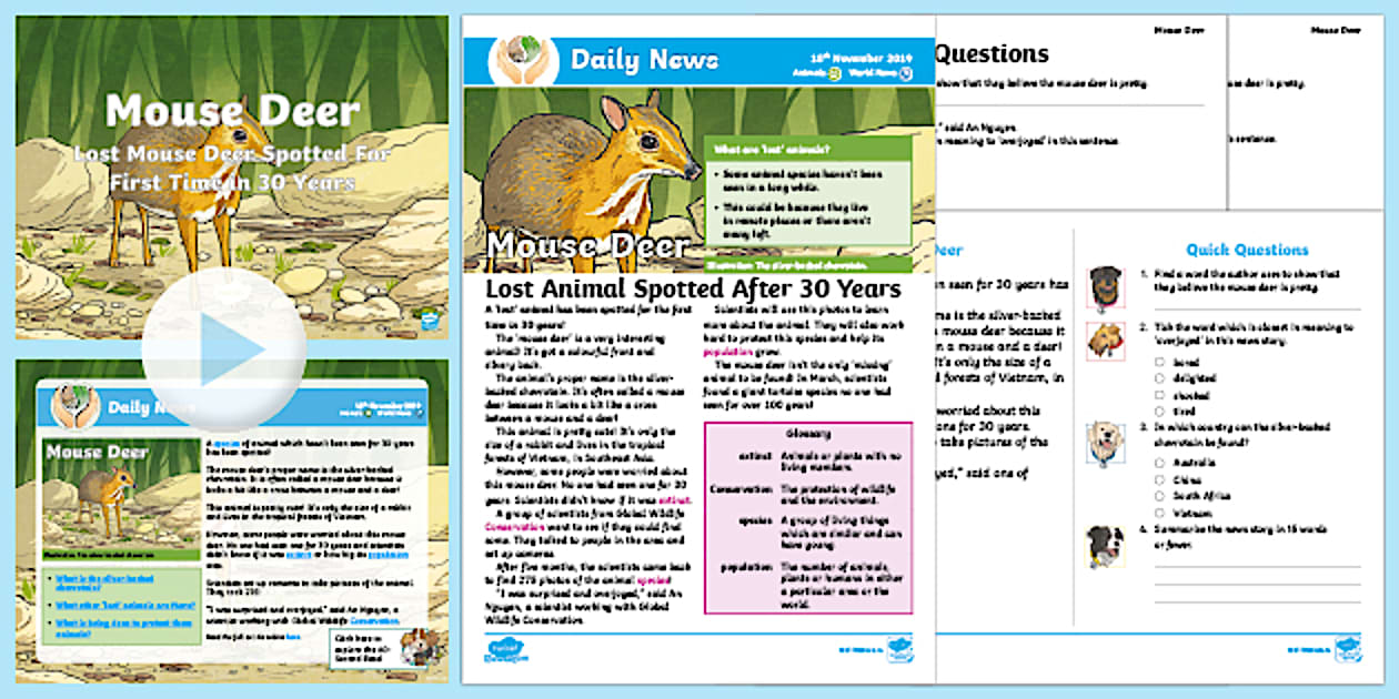 LKS2 Mouse Deer Spotted Daily News Resource Pack