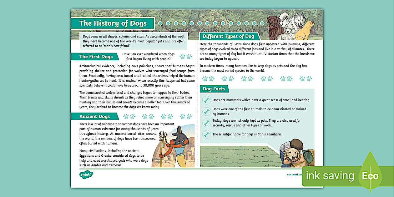 The History of Dogs Fact File (teacher made) - Twinkl