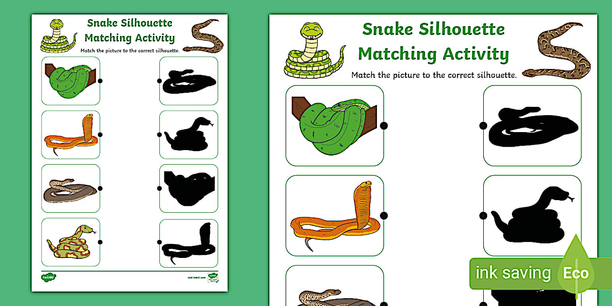Snake Silhouette Matching Activity (teacher made) - Twinkl