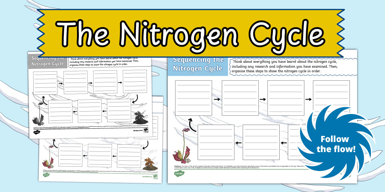 Nitrogen Cycle Sequencing Worksheet