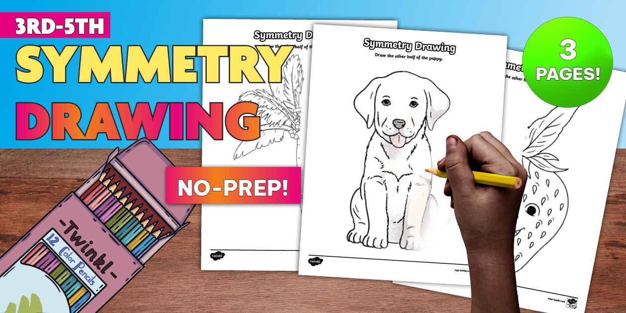 Symmetry Drawing Worksheets for 3rd-5th Grade (Teacher-Made)