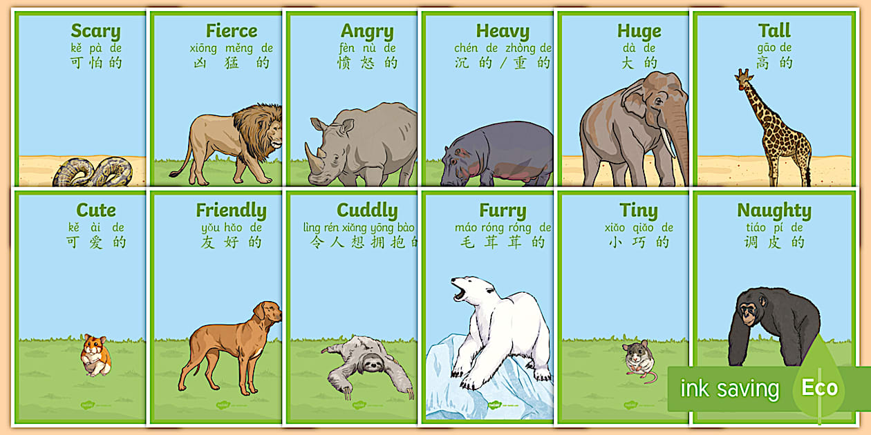 Editable Zoo Animals Adjectives Display Posters English/Mandarin