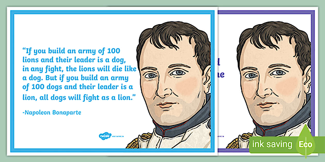 French Revolution Napoleon Quote Cards (teacher made)