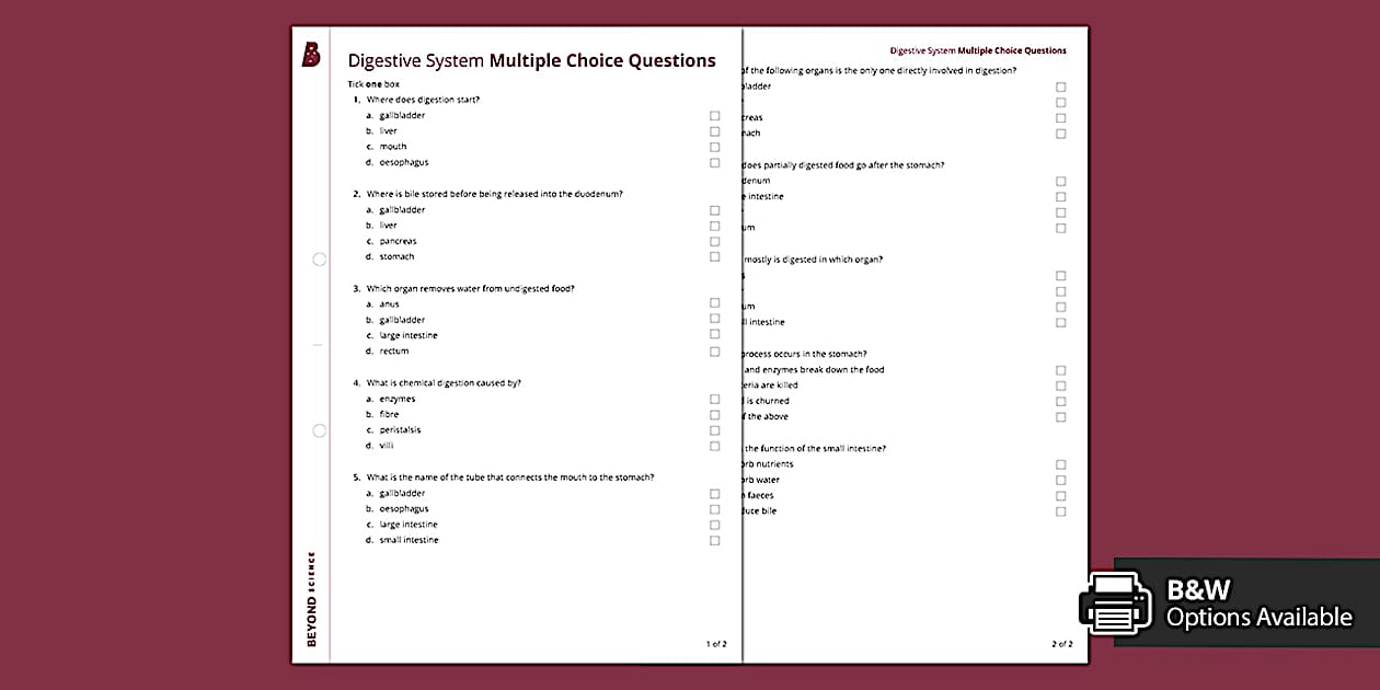 Digestive System Multiple Choice Questions Worksheet