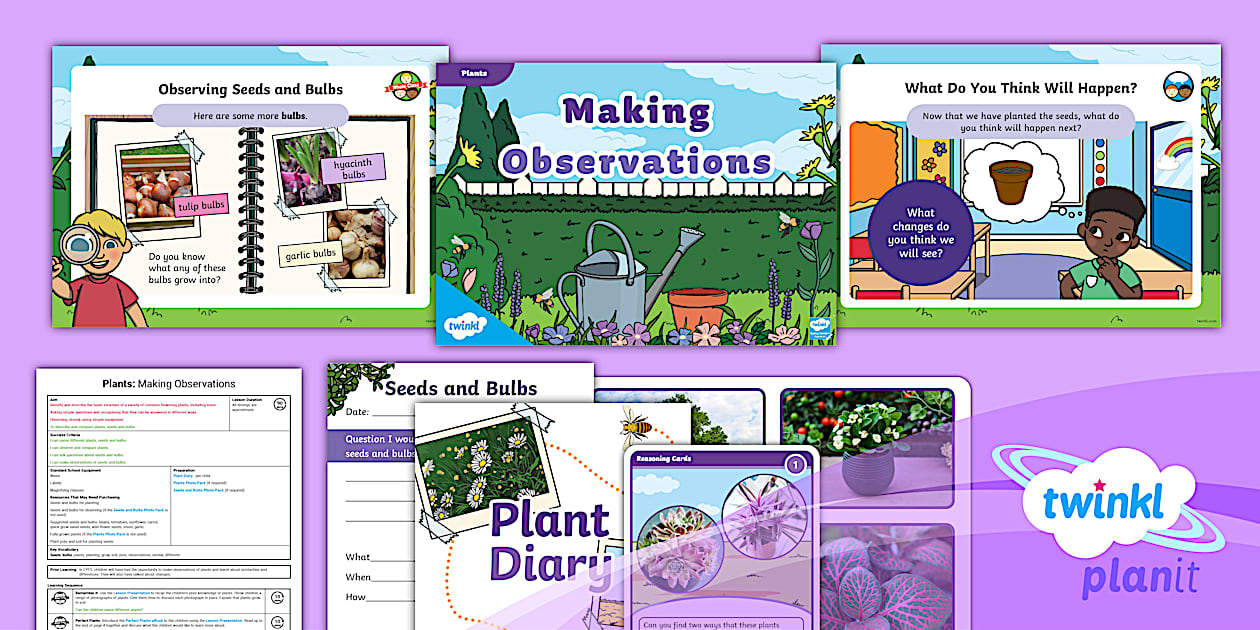 Science: Plants: Making Observations: Year 1 Lesson 1
