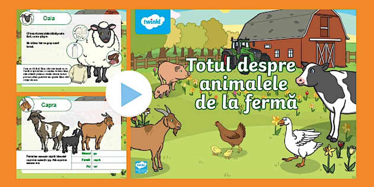 Animalele domestice – Prezentare PowerPoint | Twinkl România