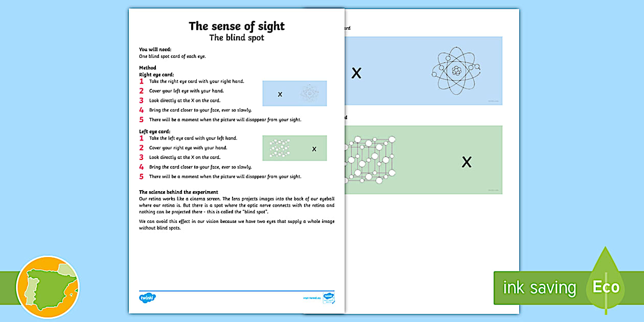 The Blind Spot Science Experiment (teacher made) - Twinkl