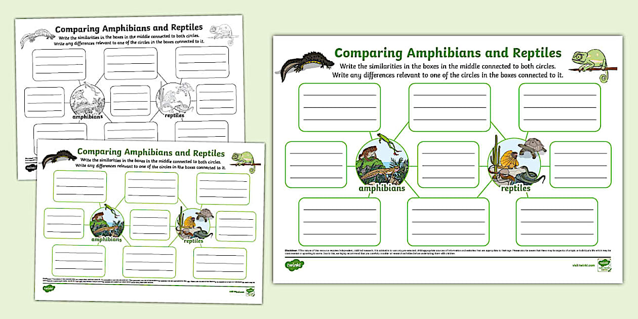 Comparing Amphibians and Reptiles Mind Map (Teacher-Made)