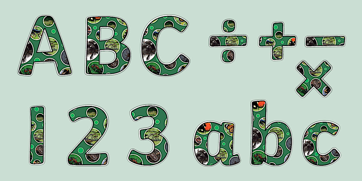 Minibeasts Photo Display Lettering (teacher made) - Twinkl