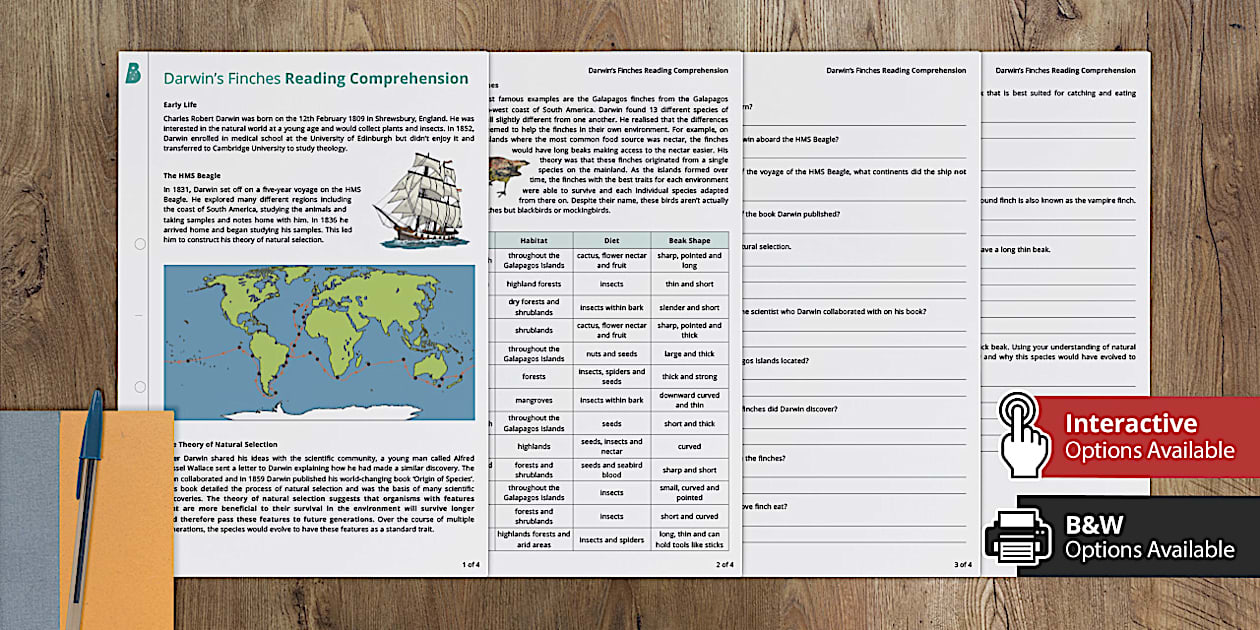 Darwin's Finches Year 7 Reading Comprehension (teacher made)
