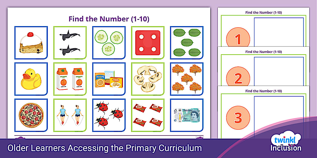 SEND Older Learners - Find the Number (1 - 10) Workstation Pack