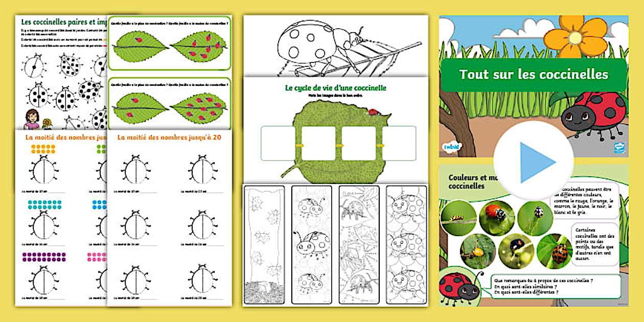 Pack de ressources pédagogiques sur les coccinelles pour la maternelle