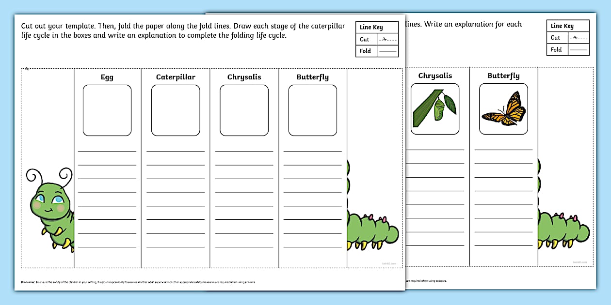 Folding Life Stages of a Caterpillar Template (teacher made)