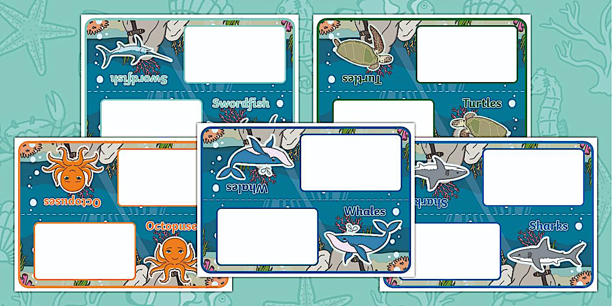 👉 Free Underwater Sea Life Pictures - Class Group Table Signs