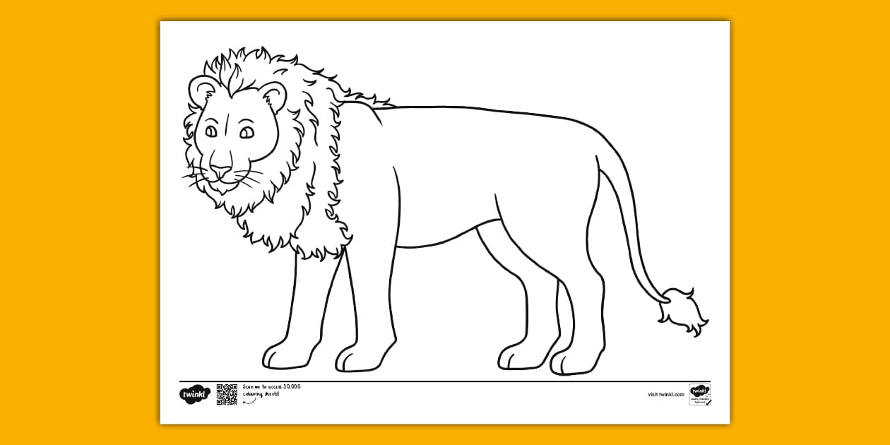 Printable Lion Colouring Pages | Colouring Sheets - Twinkl