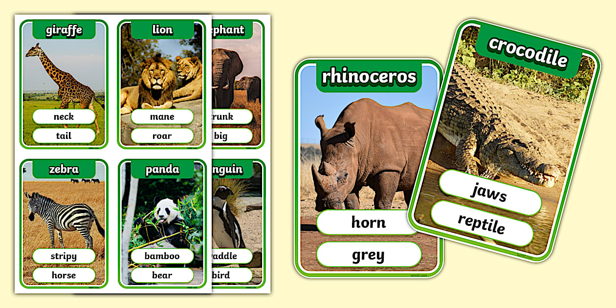 Zoo Animal 'Leave It Out!' Game Cards (professor feito)