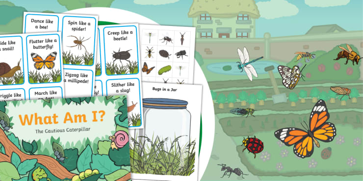 Insect Week | National Insect Week - Twinkl