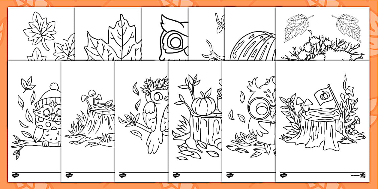 Fall Owl Coloring Sheets (teacher made) - Twinkl