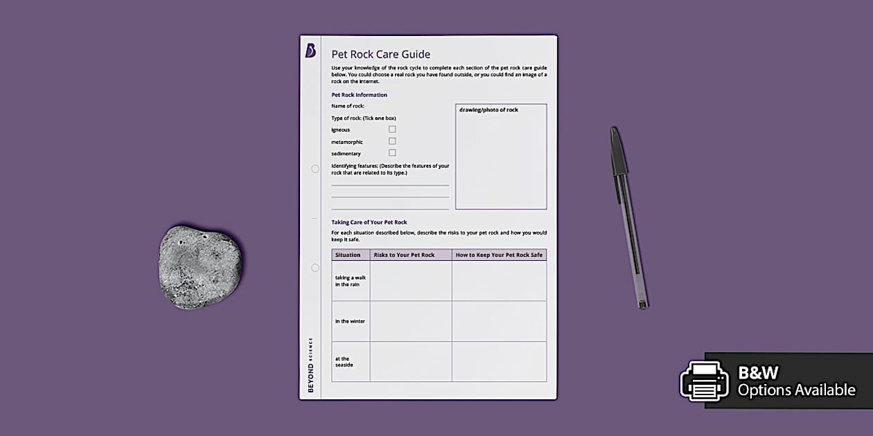 Pet Rock Care Guide Homework Worksheet / Worksheet - Twinkl